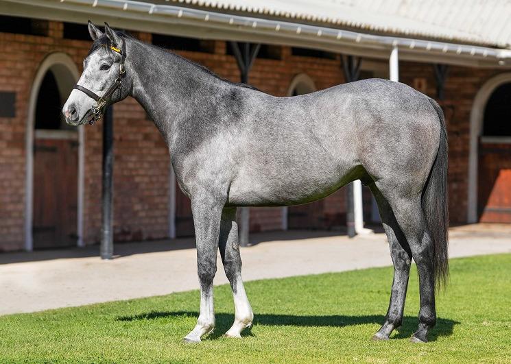 The Kings Club’s Exciting Syndication Package A Sell-out – Turf Talk