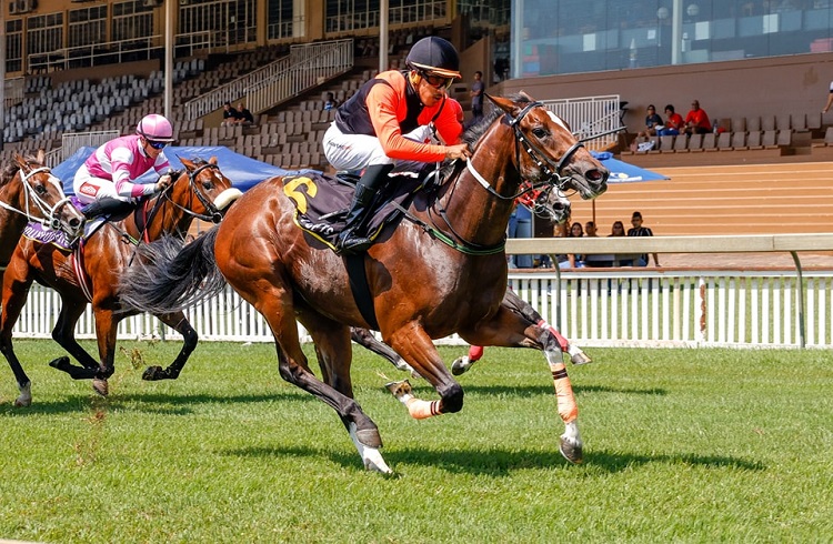 Captain Al And Jet Master In Ding-Dong Duel For Damsire Title – Turf Talk