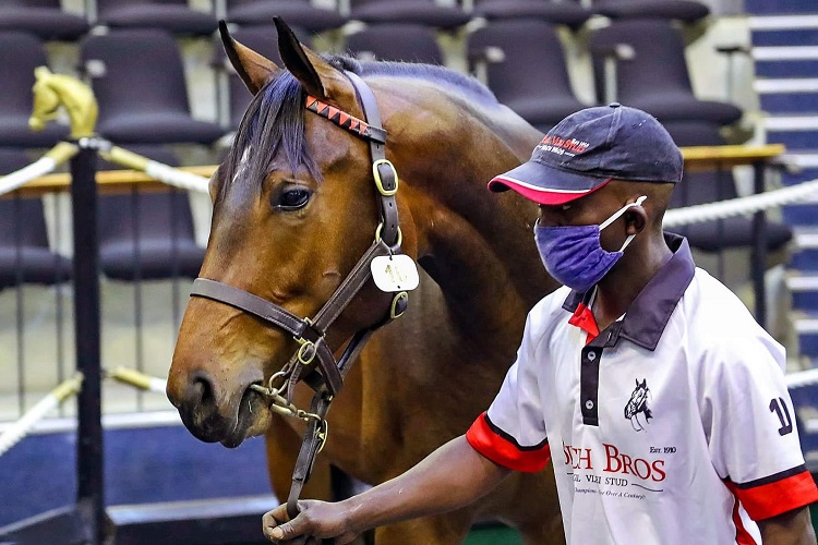 Colin Birch Dreams Of Returning To The Top – Turf Talk