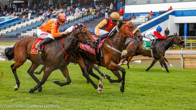 Queue Wing – Failed Vet Test And Has Now Won Seven – Turf Talk