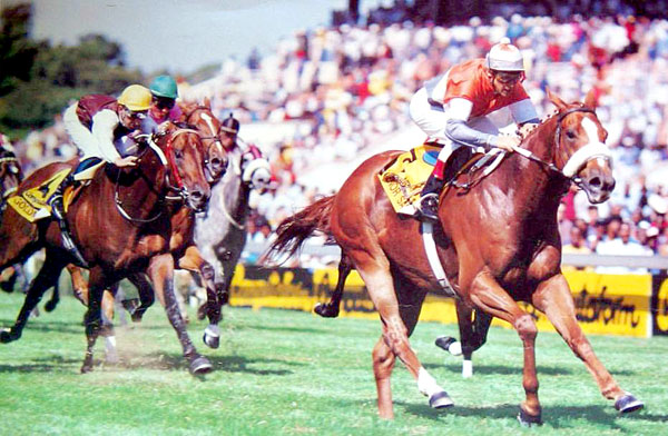 Recalling The Senor Santa/Northern Princess Match Race – Turf Talk