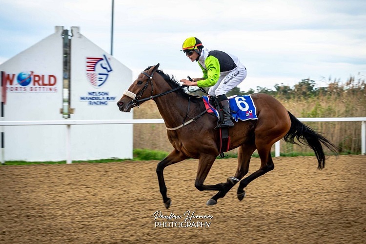 Luna Halo Can Get Back To Winning Ways – Turf Talk