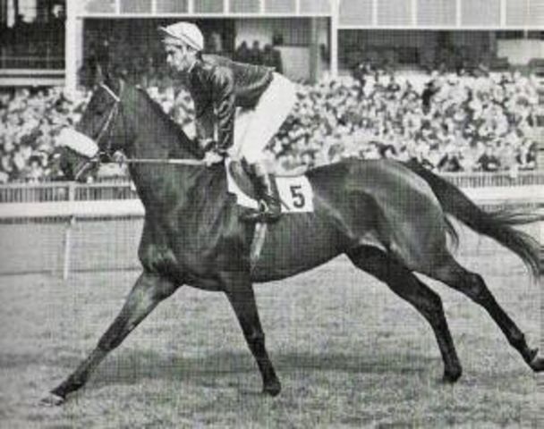 Remembering The Great Filly Allez France On RWC Quarters Weekend – Turf ...