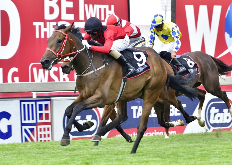 Turffontein Standside Saturday Formguides And Selections – Turf Talk