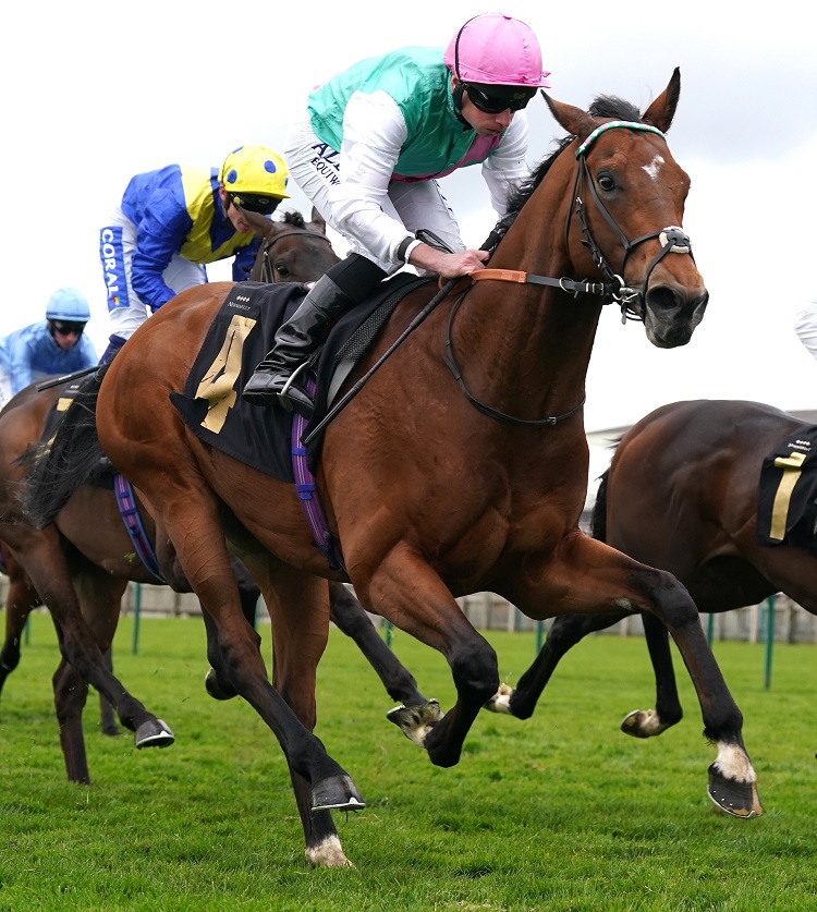 Drakenstein Homebred Not Disgraced Against Frankel’s Impressive Half ...