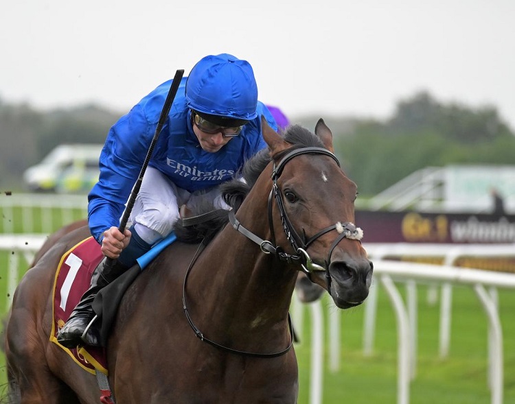 Horse-by-horse Guide: Betfred Derby – Turf Talk