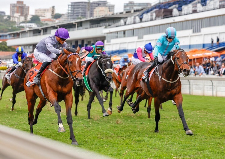 Future Swing – Model Case Study For Futura’s Progeny – Turf Talk