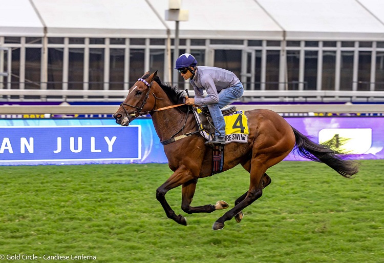 Future Swing Pulls Up Sound And Runs In Gold Cup – Turf Talk