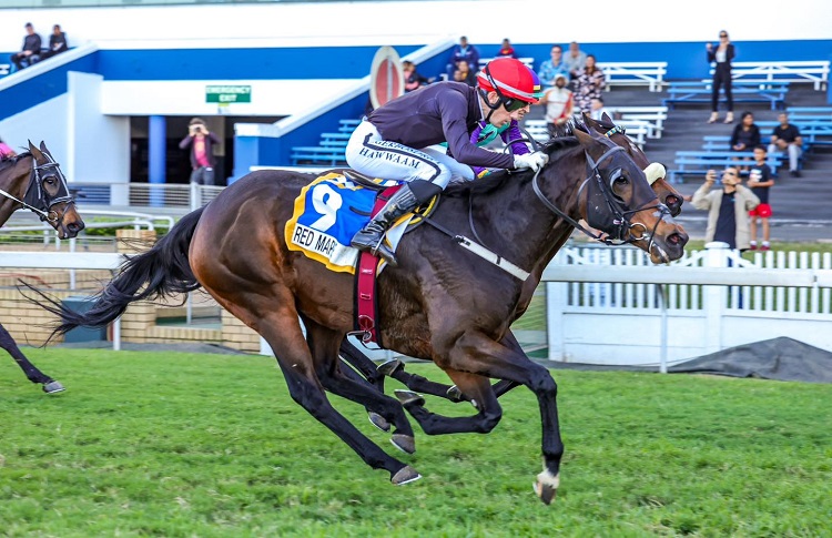 Tarry Lands The Tabgold Derby/Oaks Double – Turf Talk