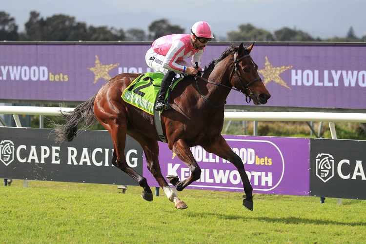 Brandon Bailey’s Formguides And Selections For HWB Durbanville Saturday ...