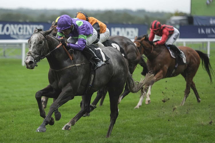 UK’s National Racehorse Week Highlights Horse Care – Turf Talk