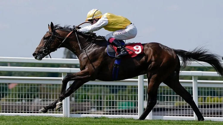 St Leger Analysis – Turf Talk