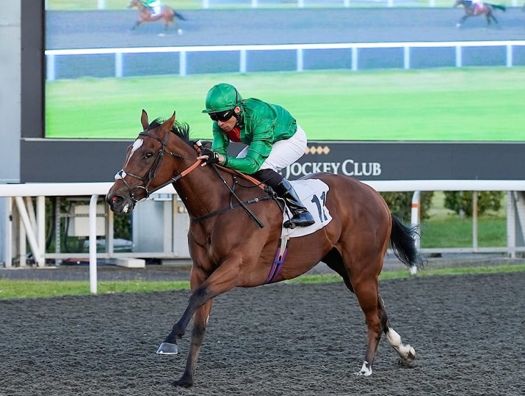 Barnane/Heffer’s Promising Filly Slams Jonsson-owned Favourite In ...