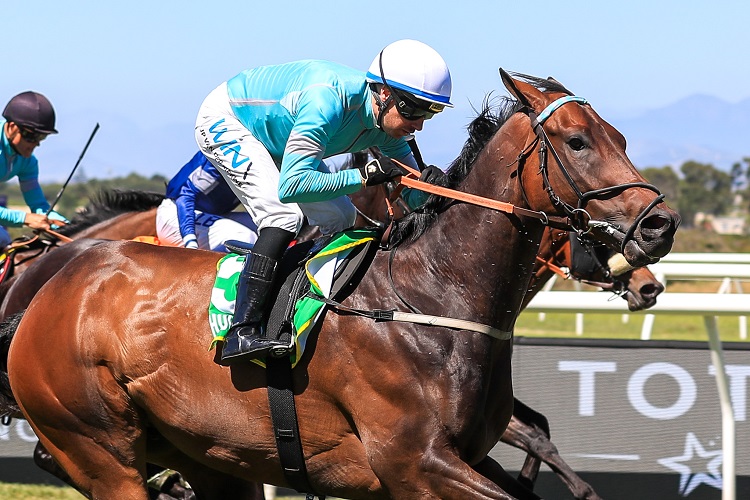 Groovejet Can Jet In Again – Turf Talk