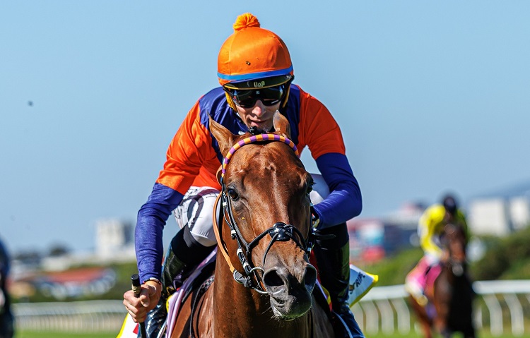 One Stripe Takes It To A New Level – Turf Talk