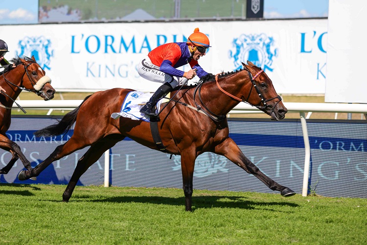 One Stripe Officially The Best In The Country On 132 – Turf Talk