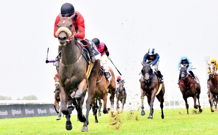 Fiery Pegasus Raised To 119, Cosmic Speed 120 – Turf Talk