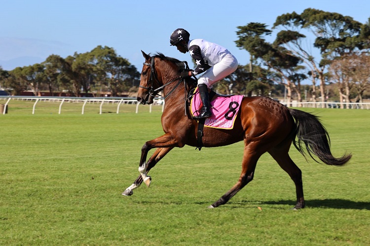 Heritage Ridge Can Finally Get Her Nose In Front – Turf Talk