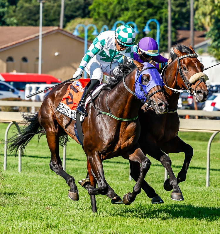 Soqrat Has A Stakes Winner – Turf Talk