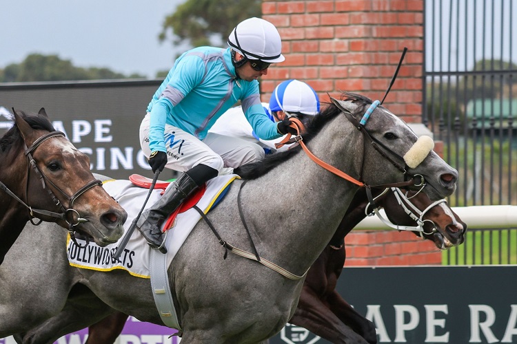 Absolutely Yes Fought Hard To Win Somerset – Turf Talk